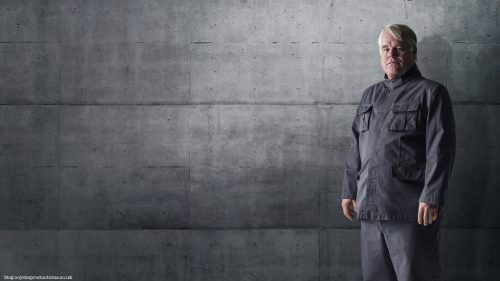 Mockingjay wallpaper | Confusions and Connections