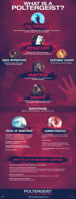 Poltergeist spotting with our guide | Confusions and Connections